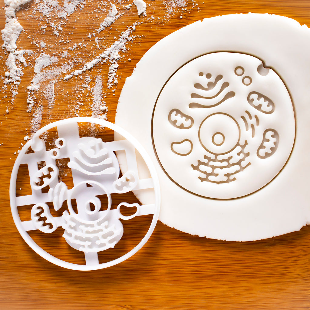 Human Cell Cookie Cutter – Bakerlogy
