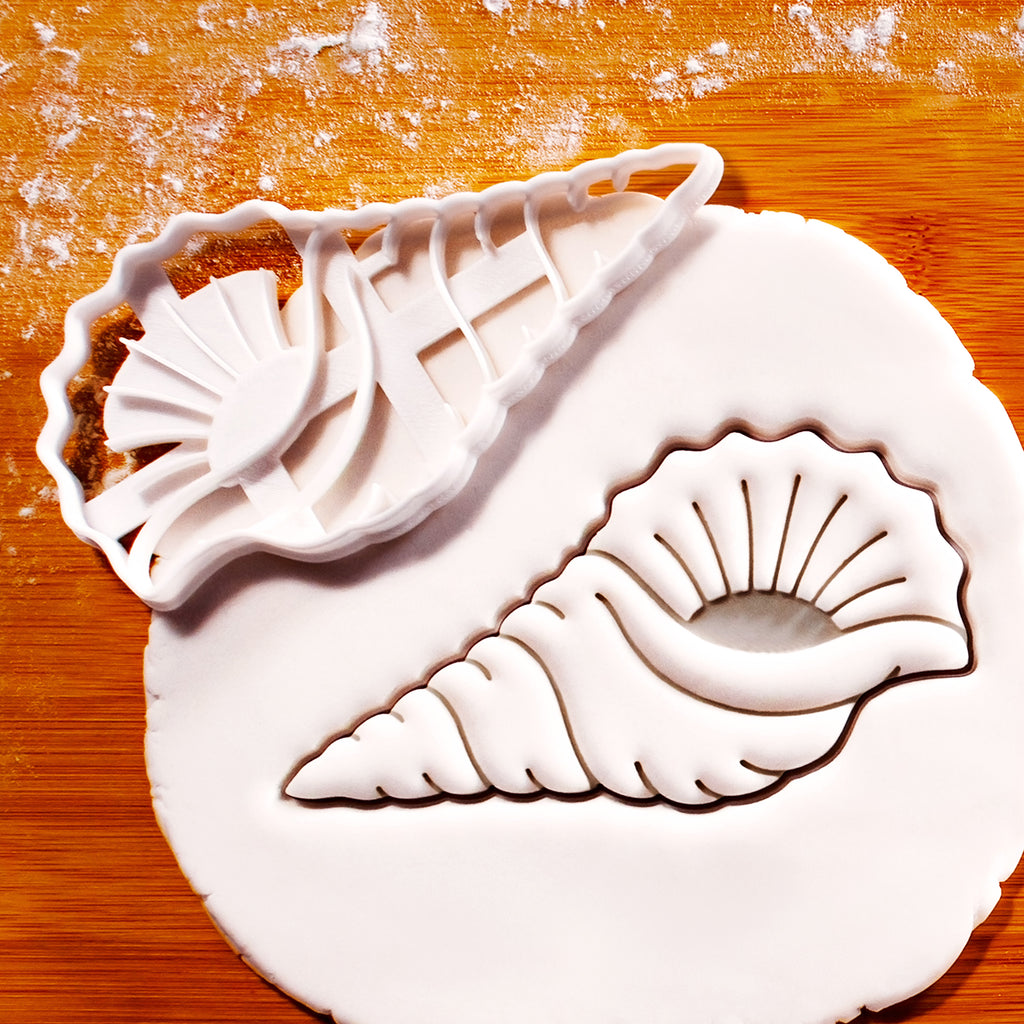 Triton Trumpet Shell – Bakerlogy