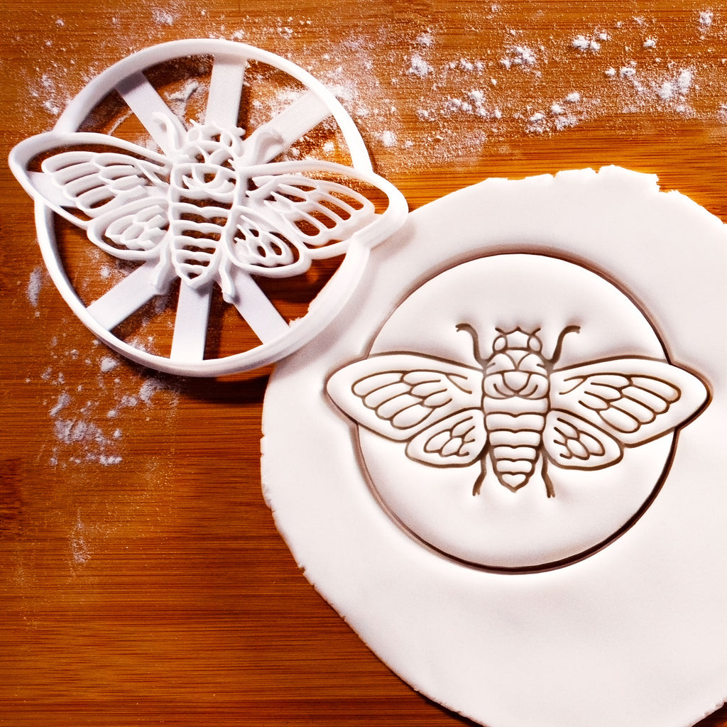 Cicada Cookie Cutter – Bakerlogy