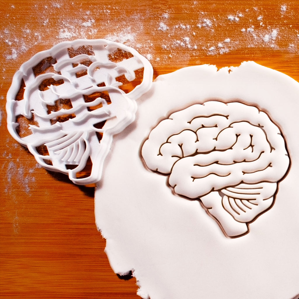 Lateral View Brain Cookie Cutter – Bakerlogy