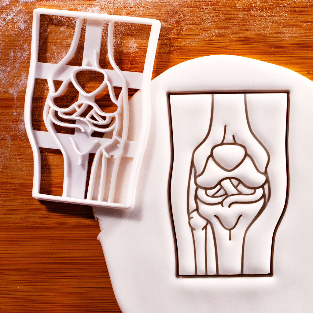 Knee Joint Anatomy Cookie Cutter – Ortho & Medical Student Gift – Bakerlogy