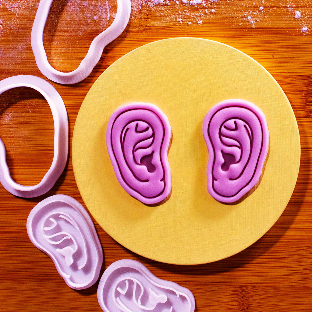 Human Ears Mini Cookie Cutter & Stamp Set – Left & Right Anatomy Mold ...
