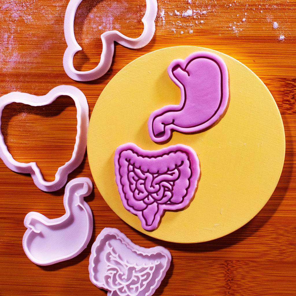 Digestive System Mini Cookie Cutter & Stamp Set – Stomach & Intestines ...
