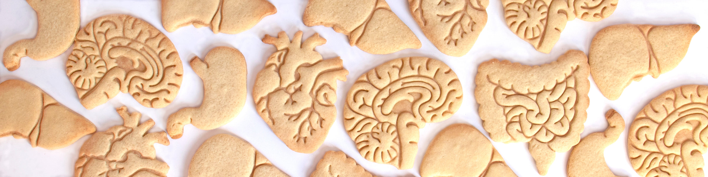 Bakerlogy Cookie Cutters