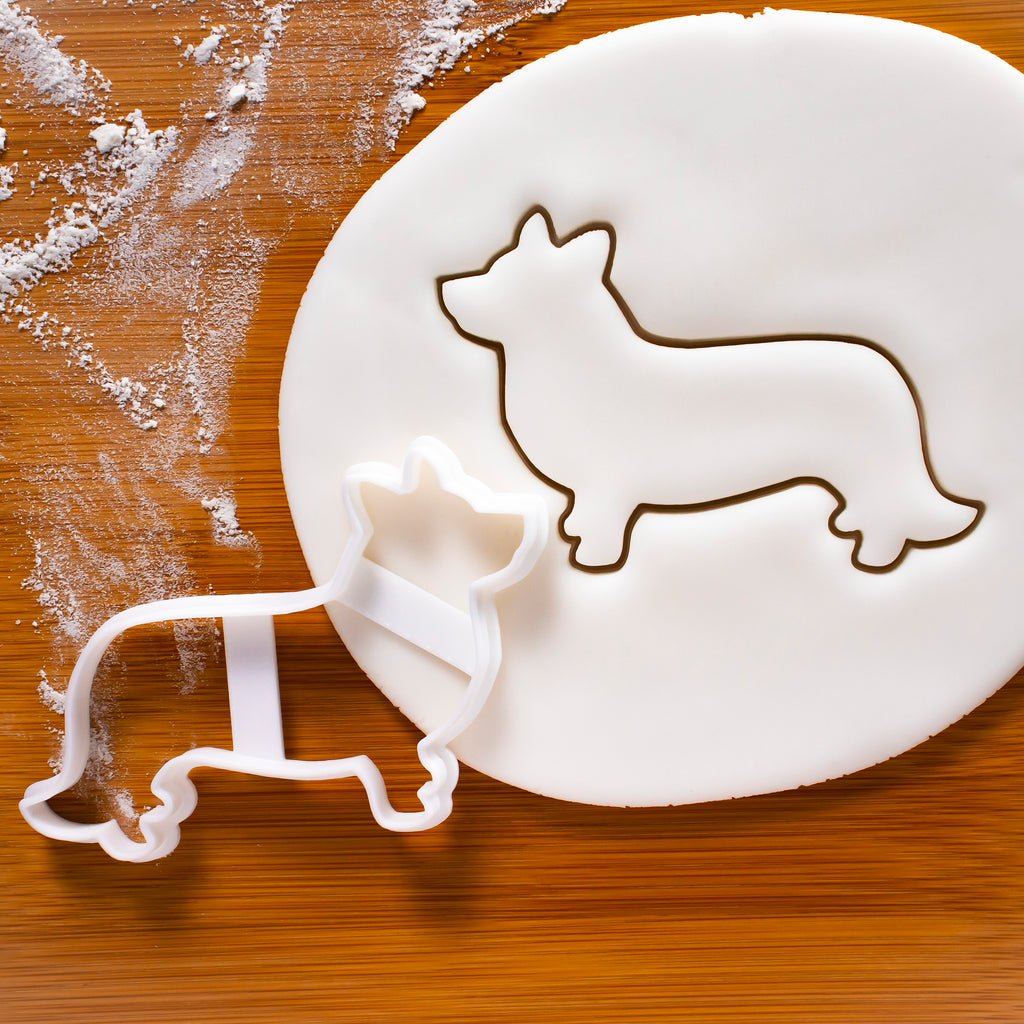 Cardigan Welsh Corgi – Bakerlogy