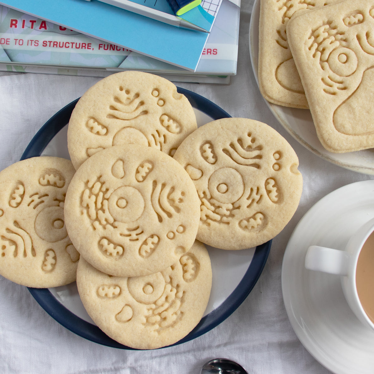 Human Cell Cookie Cutter – Bakerlogy