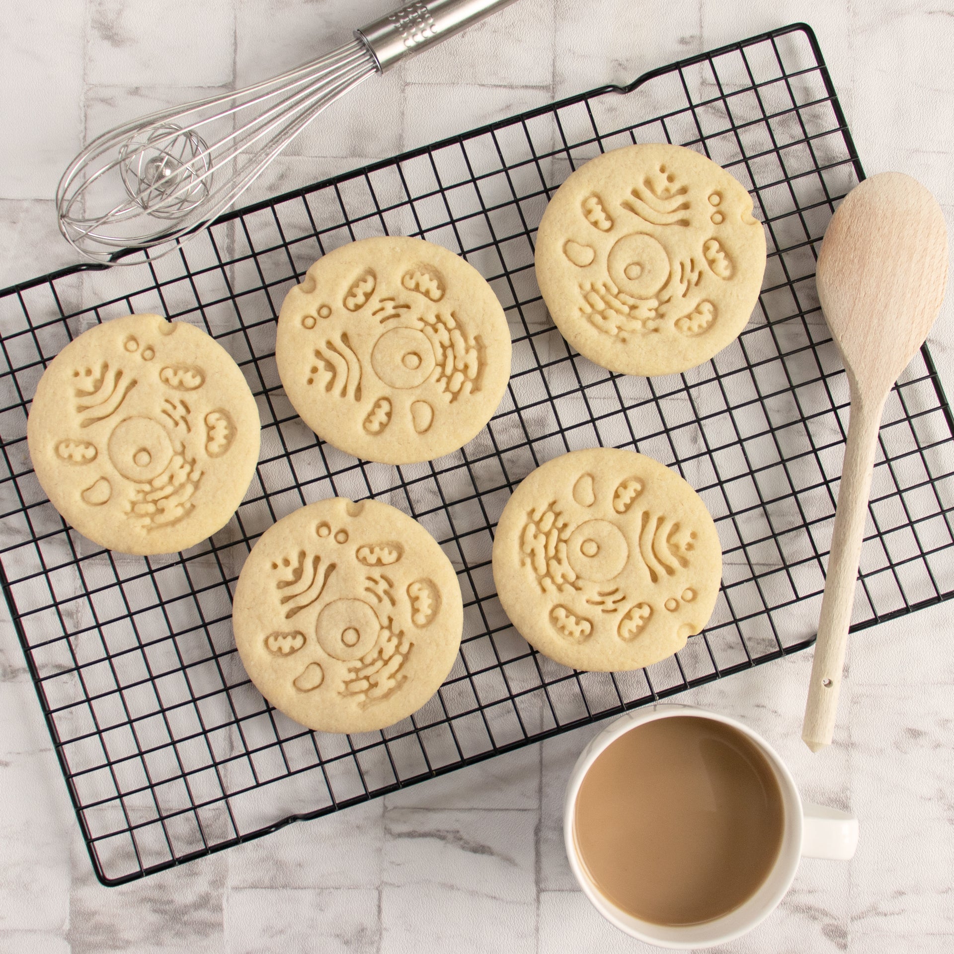 Human Cell Cookie Cutter – Bakerlogy