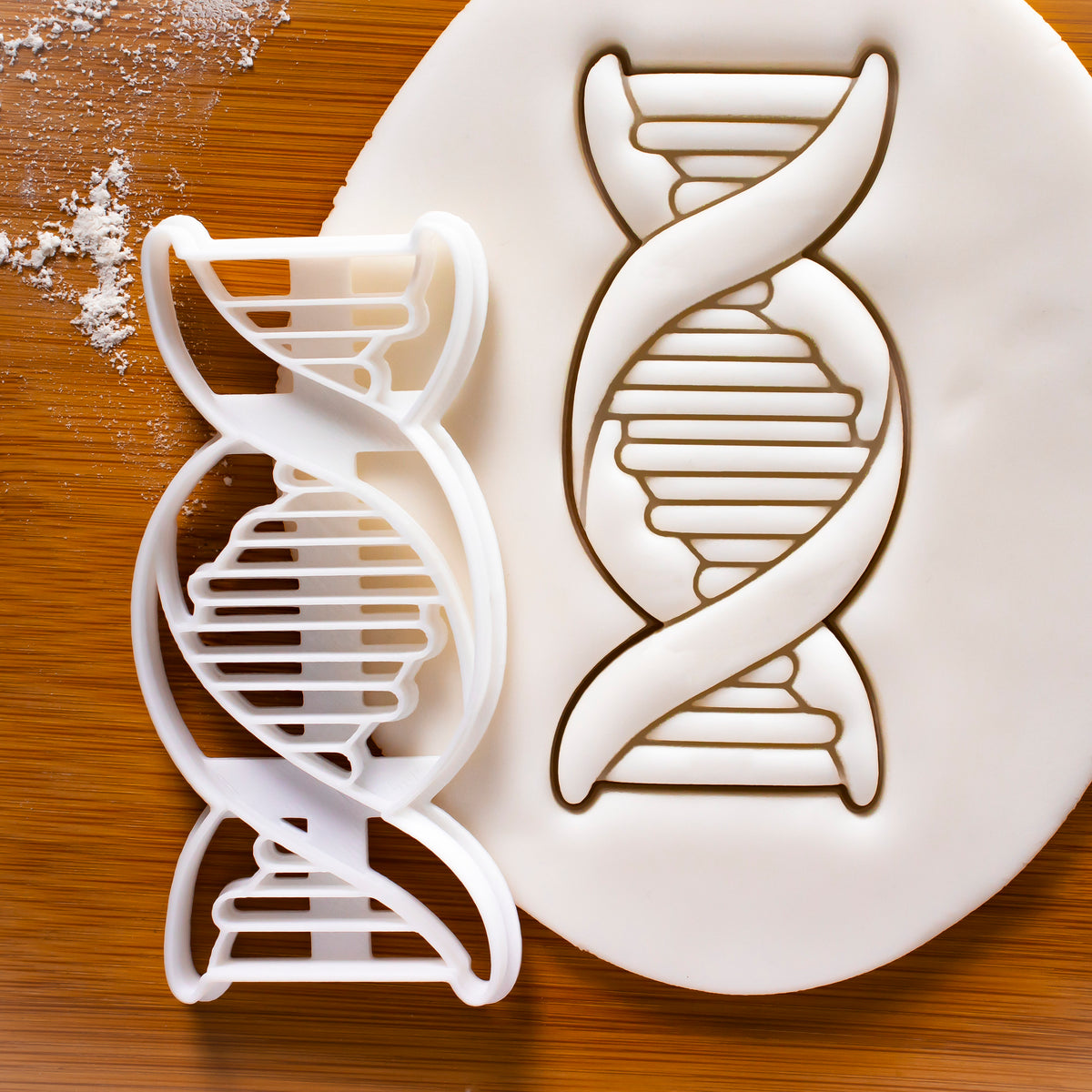 Set of 3: DNA, Chromosome, Chromosome Y Cookie Cutters – Bakerlogy
