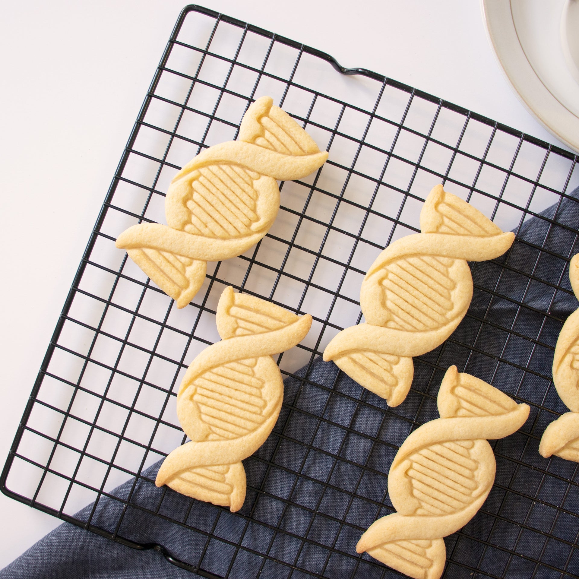 DNA Cookie Cutter – Bakerlogy