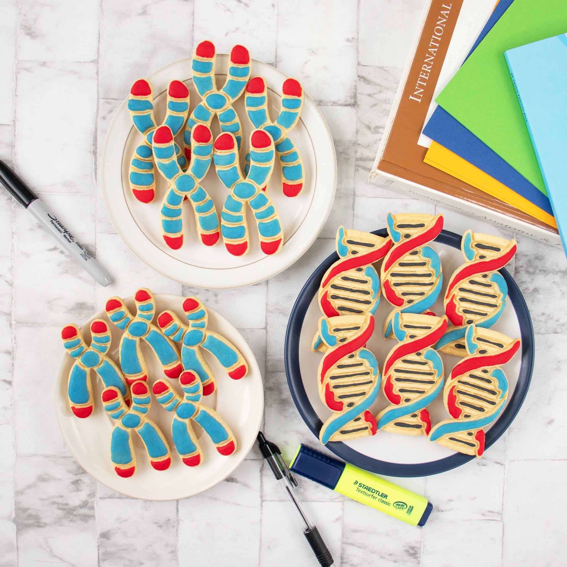 Set of 3: DNA, Chromosome, Chromosome Y Cookie Cutters – Bakerlogy