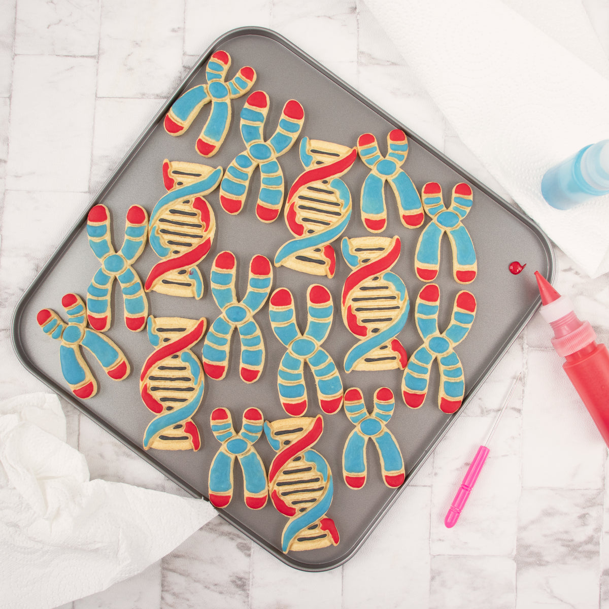 Set of 3: DNA, Chromosome, Chromosome Y Cookie Cutters – Bakerlogy