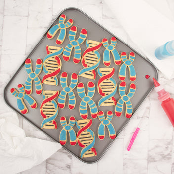 Set of 3: DNA, Chromosome, Chromosome Y Cookie Cutters – Bakerlogy