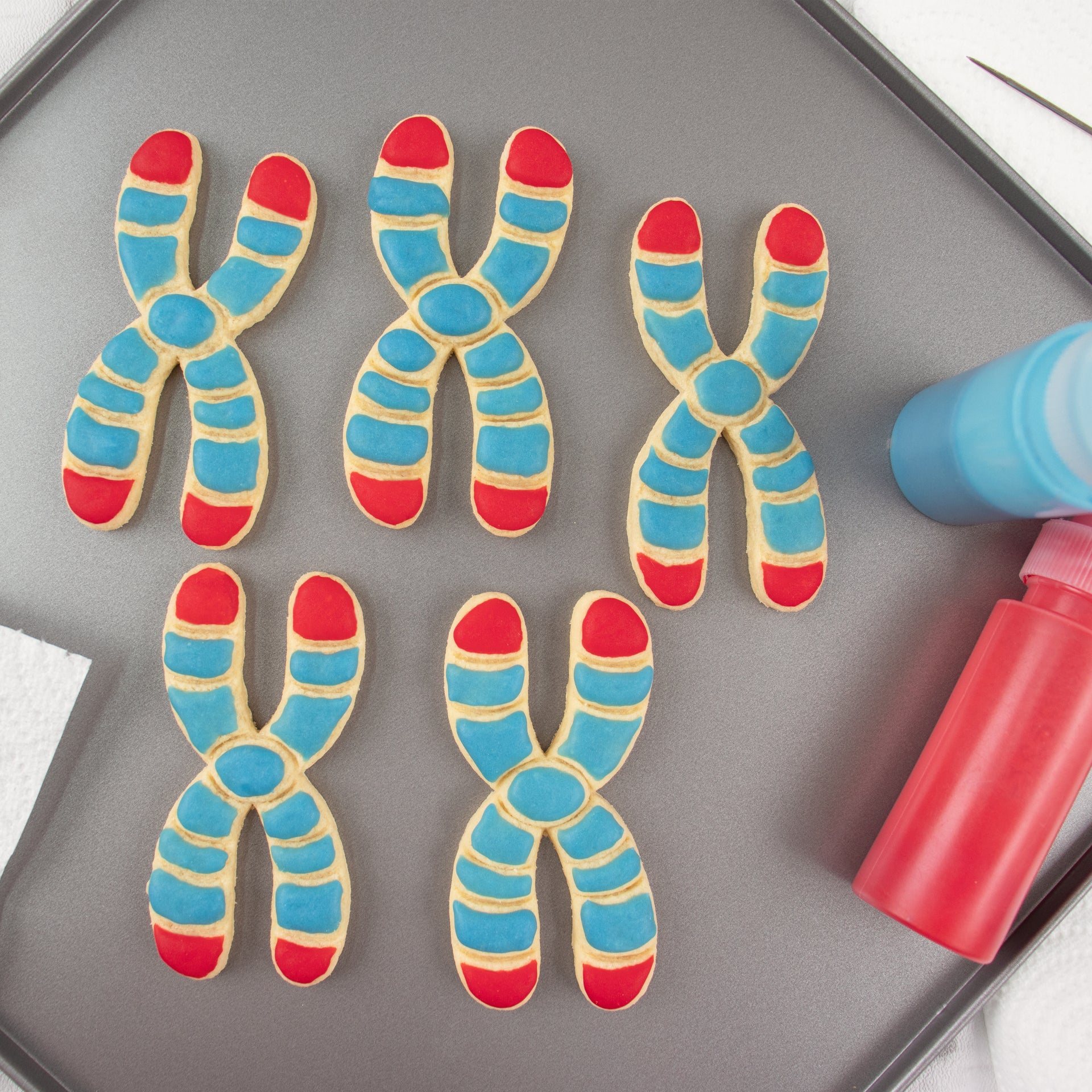 Set of 3: DNA, Chromosome, Chromosome Y Cookie Cutters – Bakerlogy