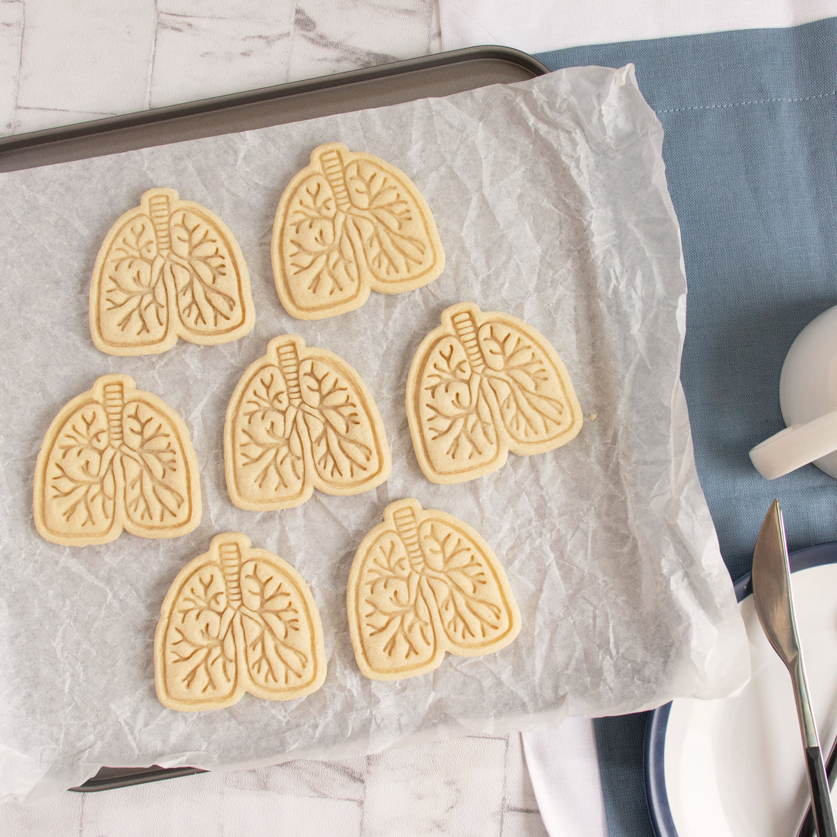 Anatomical Lungs Cookie Cutter – Bakerlogy