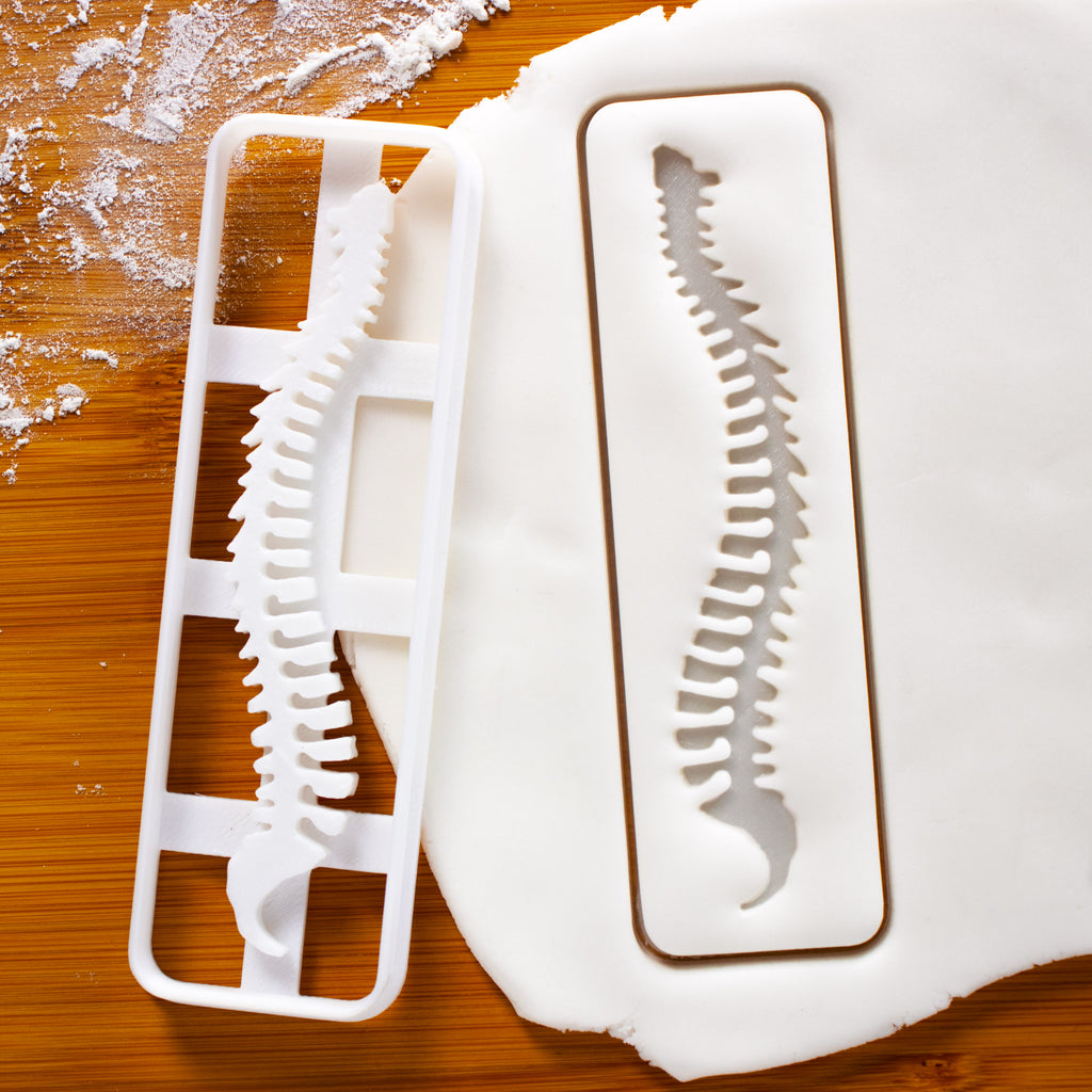 Human Spine Cookie Cutter – Bakerlogy