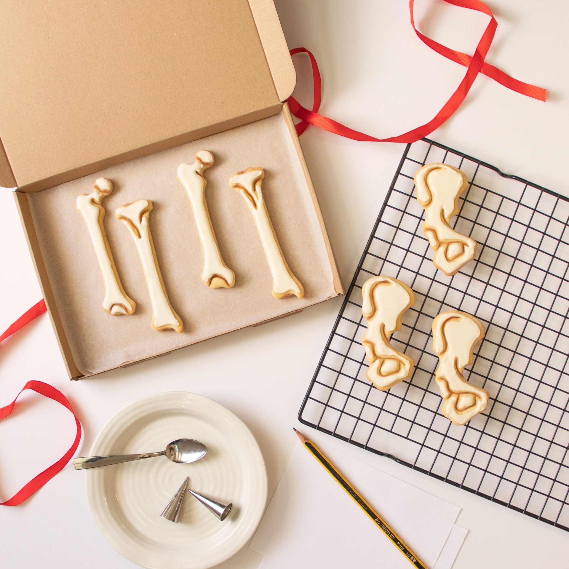 Hip, Femur and Tibia Bone Cookie Cutters – Bakerlogy