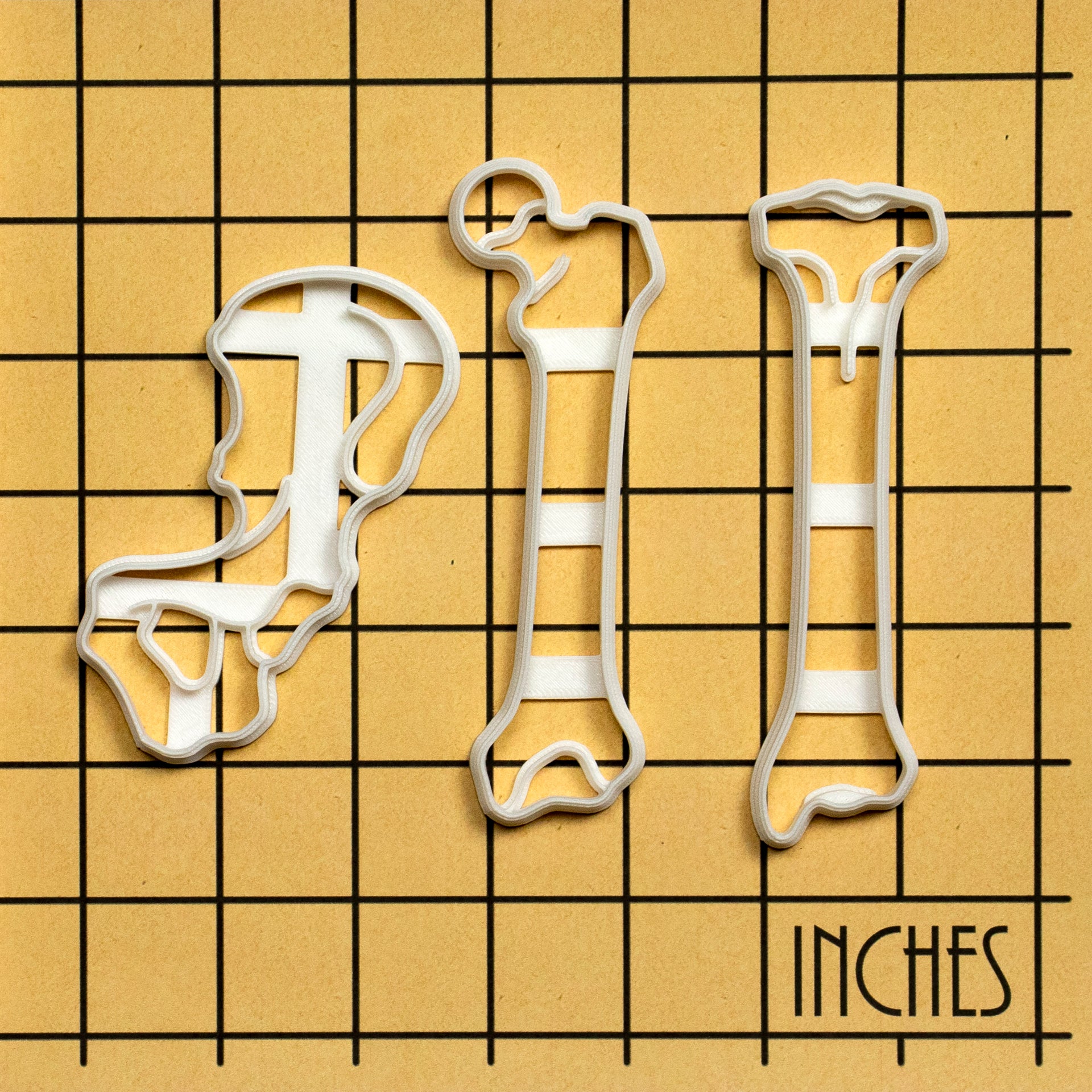 Hip, Femur and Tibia Bone Cookie Cutters – Bakerlogy
