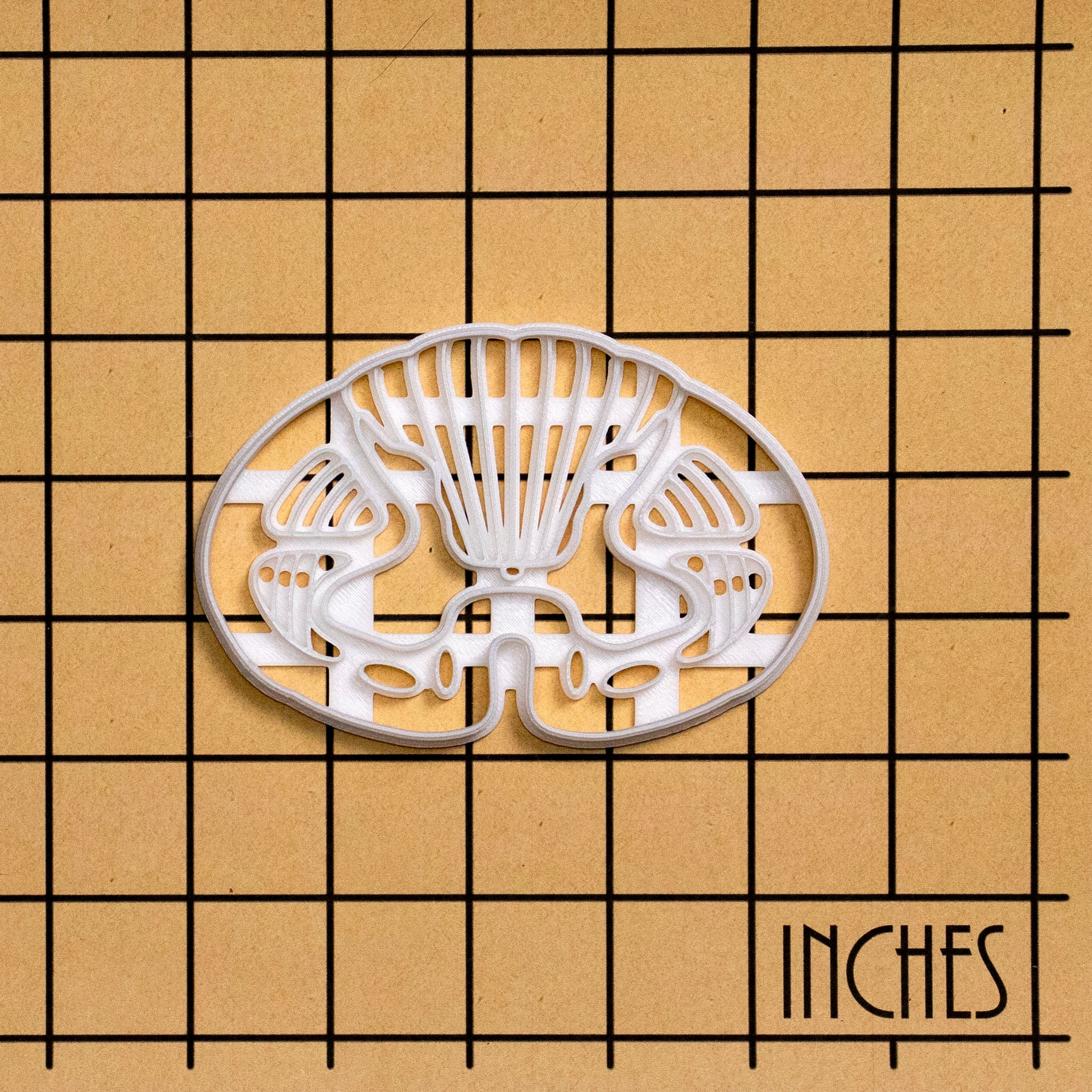 Spinal Transverse Cookie Cutter – Bakerlogy