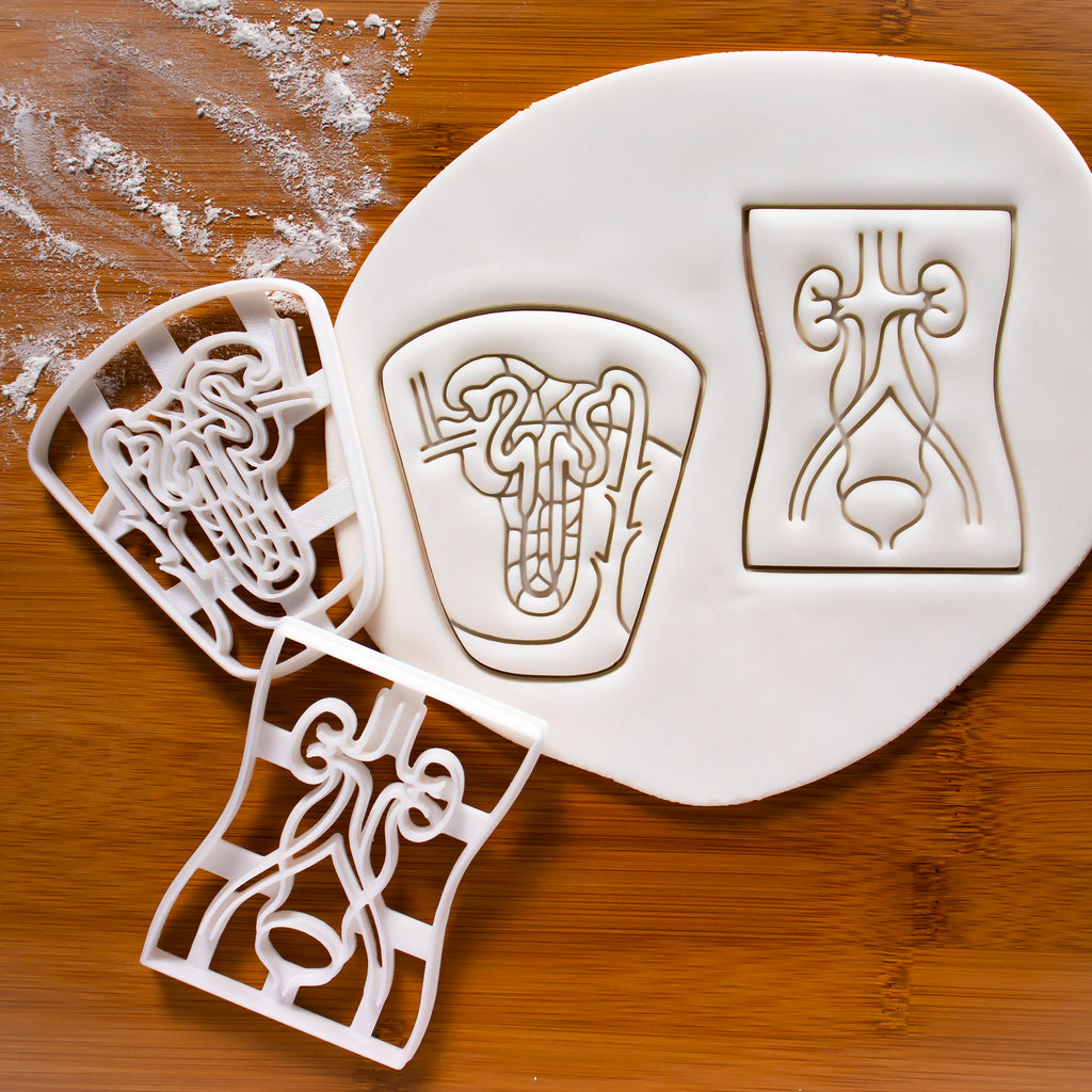 Set of 2 Nephrology Cookie Cutters: Nephron & Urinary System – Bakerlogy