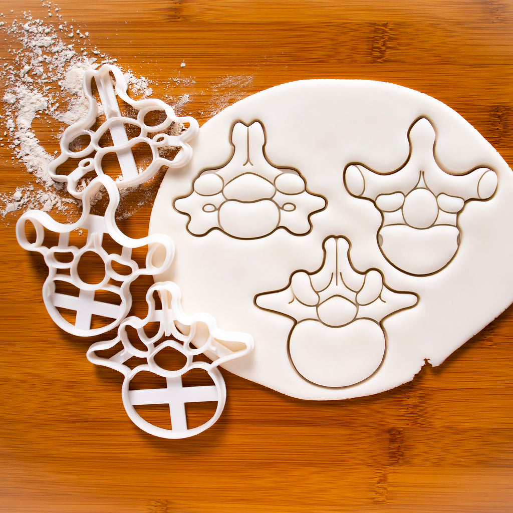 Set of Cervical, Lumbar and Thoracic Vertebrae Cookie Cutters – Bakerlogy