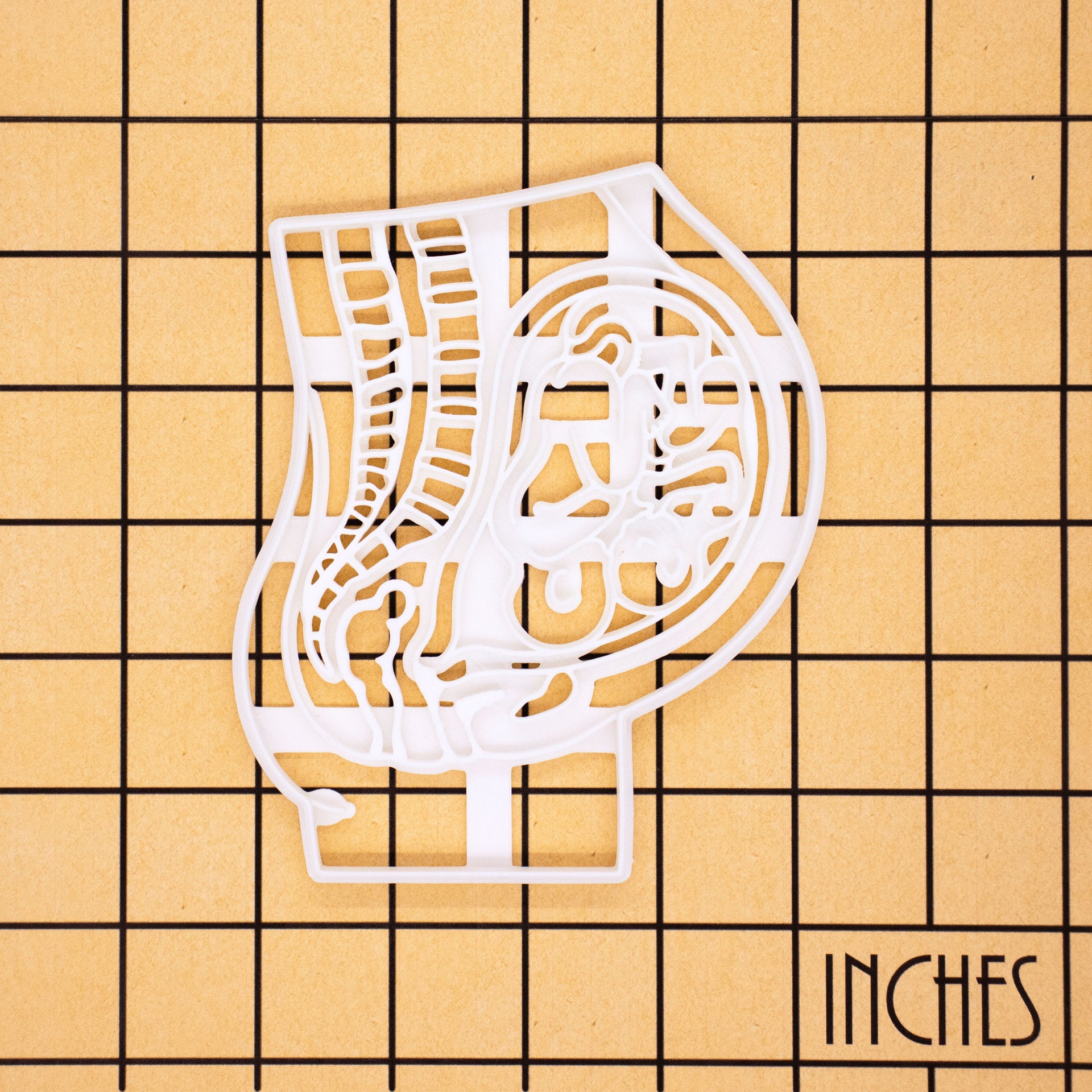 Pregnant Womb with Vertex Vertex Twins Fetuses Cookie Cutter – Bakerlogy