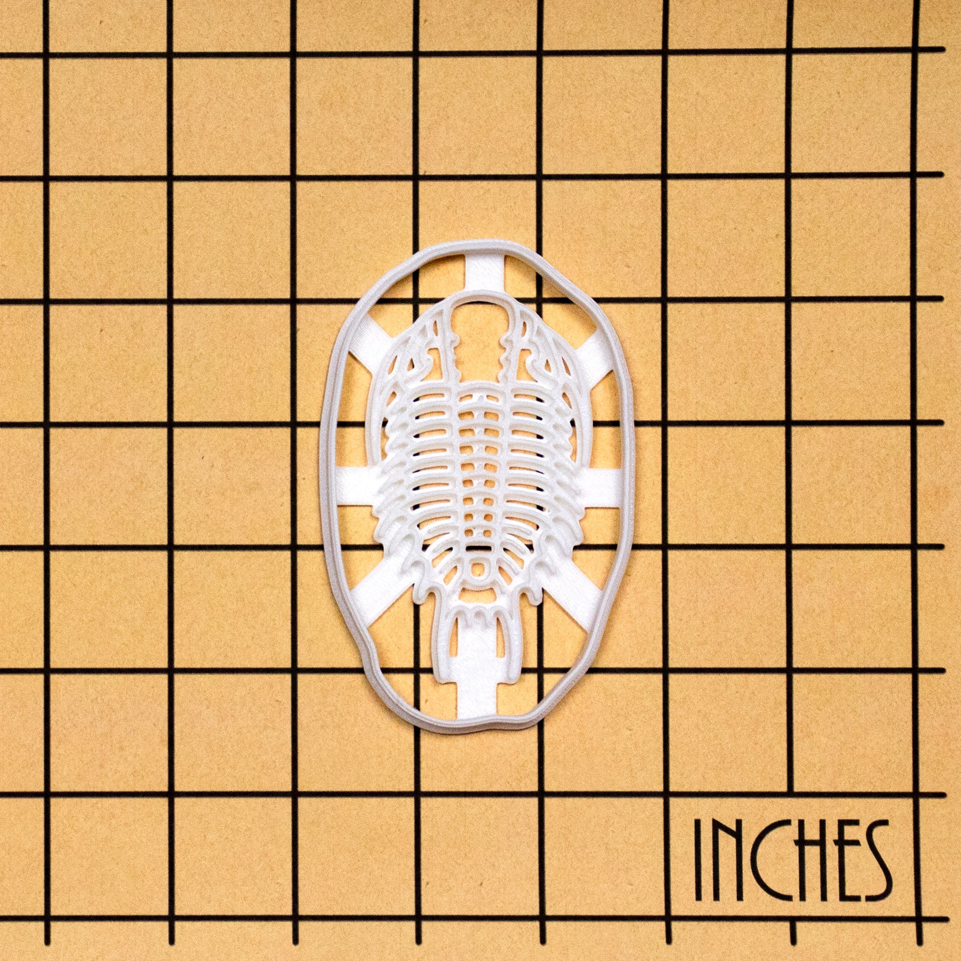Trilobite Cookie Cutter – Bakerlogy
